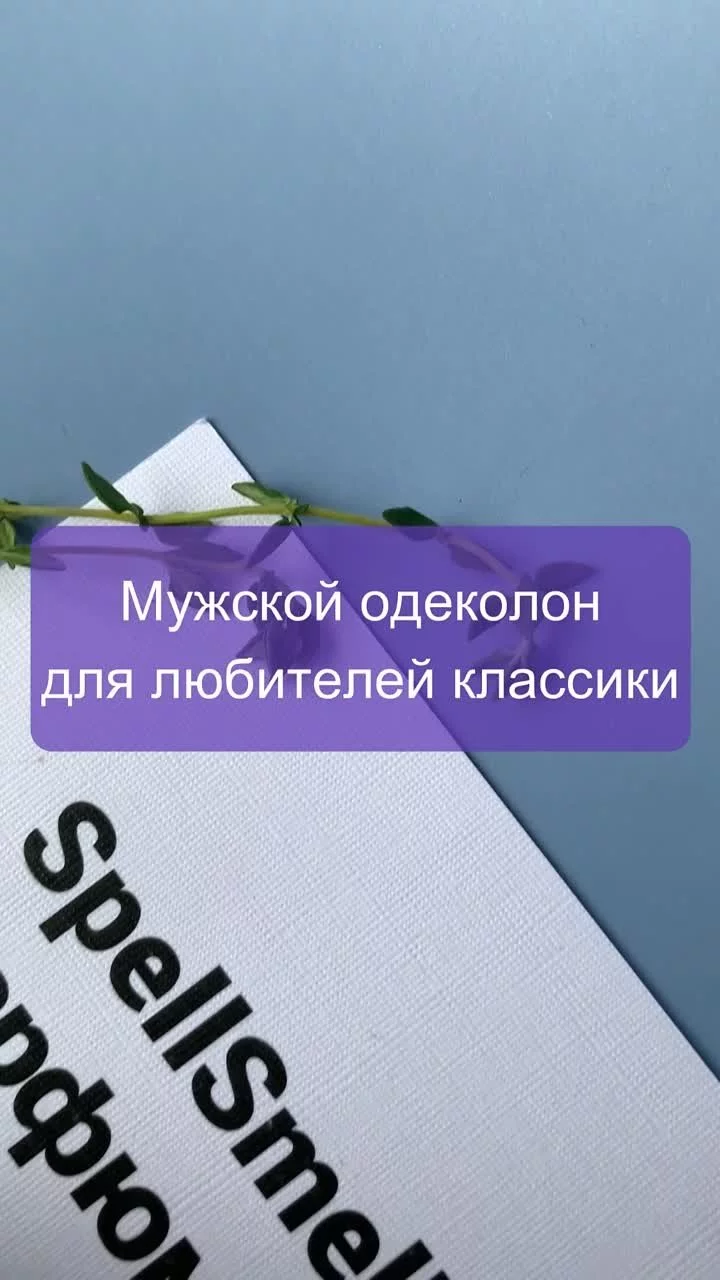 Купить духи Dragon Parfums Dragon Noir — мужская туалетная вода и ...